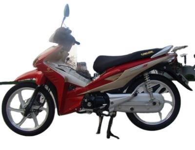 Cina Ingrosso di buona qualità e a basso costo di importazione altre motociclette mini scooter 110cc 120cc cuccioli motociclette in vendita