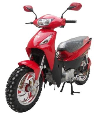 Cina Sud America Motociclette popolari cucciolo motocicleta 110cc 120cc cucciolo motociclette mini in vendita