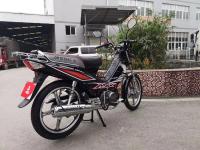 China OEM ODM Fuel Efficient Underbone Motorcycle 125CC 100cc Cub Customized for sale