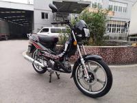 China OEM ODM Fuel Efficient Underbone Motorcycle 125CC 100cc Cub Customized for sale