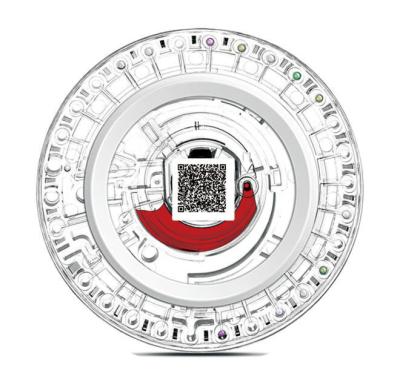 Cina Punto della clinica dell'animale domestico dell'analizzatore completamente automatico di biochimica dell'analizzatore di cura in vendita