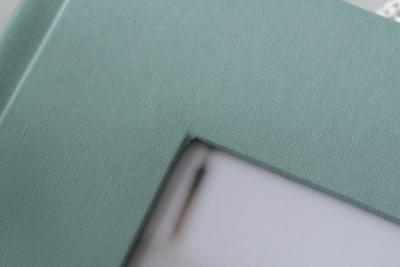 China Gelijk zet Blauw Kind/Hondenstof Behandeld Fotoalbum met Waterdichte Binnenpagina's op Te koop