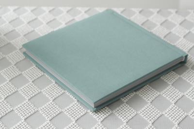 China Cyaan Behandeld de Fotoalbum van 12x16 Stof, de Albums van Flushmount van Liefdeherinneringen Te koop