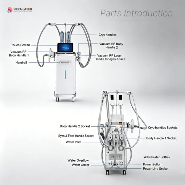 Quality Mutifuction Vacuum RF & Criolipolisis Body Slimming machine for sale