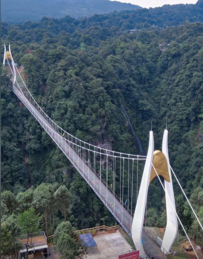 Completed large span steel bridge installation