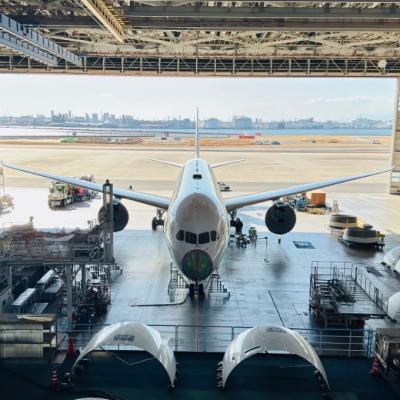 中国 パーソナライズされた産業用鉄筋ビル 簡単に組み立てられる金属ハンガービル 販売のため