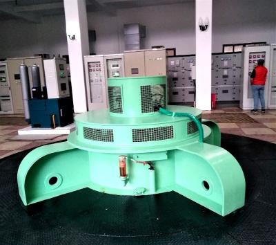 China Customizable Kaplan Hydro Turbine Generator High Frequency 1-Year for sale