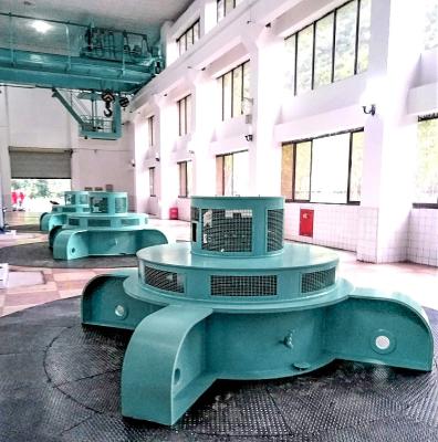 Cina Generatore idroturbina Kaplan 5-50m Testa nominale 220-11000V Voltaggio nominale in vendita