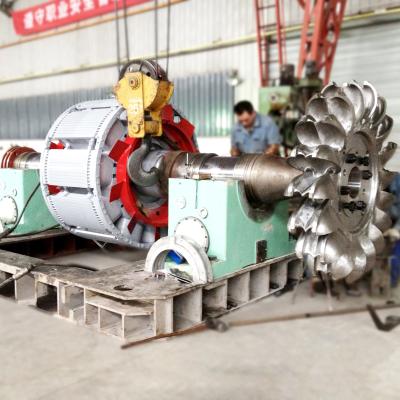 China High Voltage Pelton Hydraulic Turbine Generator 6-10kV Rated Voltage 500-3000r/min Air/Oil Cooling for sale