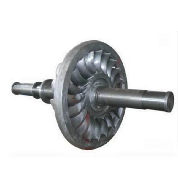 Generatore a turbina a turbina da 5-20 t con tensione nominale ad alta efficienza 220V-11000V