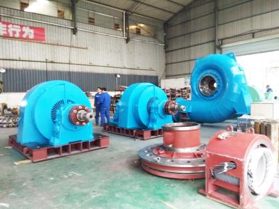 Cina Generatore idroturbina personalizzato per testa d'acqua 450-1000 giri al minuto Durabilità in vendita