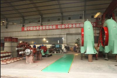 China Generador de turbina de agua de 20 MW con control automático y corredor de acero inoxidable en venta