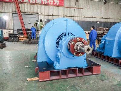 China 300kw-20mw Francis Hydroturbine Generator for Specific Head Customizable Capacity with 50HZ/60HZ Frequency for sale