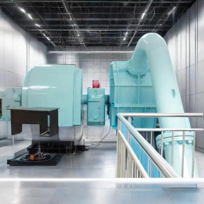 China 50/60Hz Pelton Turbine Generator With Brushless Excitation And Micro Governor for sale