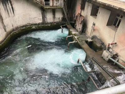 中国 200kw 20mw 自動制御 マニュアル 垂直/水平水タービン発電機 販売のため