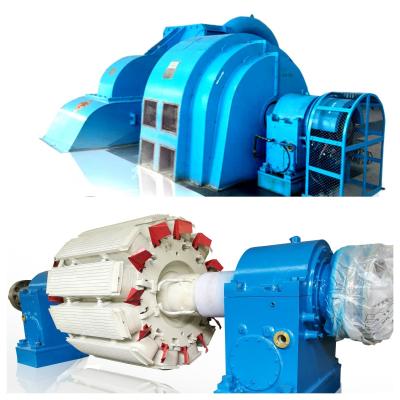 China IP54 Protection Grade Pelton Type Turbine Generator for Power Generation in Cast Iron/Stainless Steel for sale