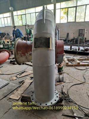 Cina Materiale di progetto del tubo in acciaio inossidabile Francis Turbina idroelettrica con potenza nominale da 100 kW a 3 MW in vendita