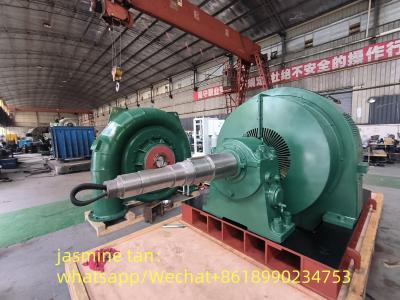 China Turbina de água de alta cabeça personalizada com velocidade de 250-1000 rpm/min Geração de energia ideal à venda