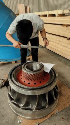 China Customized Blade Length Hydroelectric Turbine for 200kw-20mw Renewable and Eco-Friendly Energy for sale