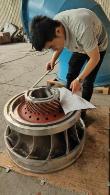 Stainless Steel Hydroelectric Turbine 3-10 Blades for Maximum Output and Durability