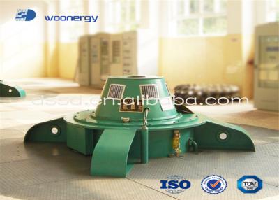 중국 카프란 수력 발전 터빈 발전기 사용자 지정 색상, 극소 수력전기 물 터어빈 판매용