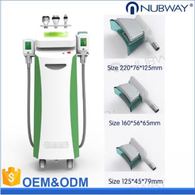 China Best model factory price cryolipolysis device fat freeze body slimming machine for salon for sale