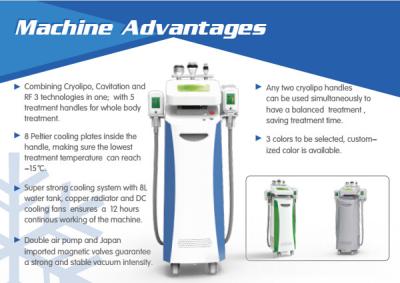 China Most effective! Cryo freeze fat to lose weight 5 handles fat freezing cryolipolysis slimming machine for sale