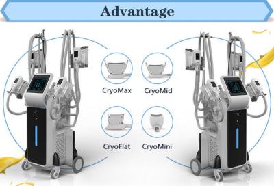 China 2019 newest design coolshape tech cryolipolysis fat freeze slimming machine for spa/salon for sale
