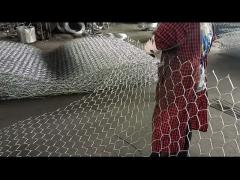 Filo di acciaio esagonale del pollo del ferro galvanizzato Mesh Netting BWG14-BWG27