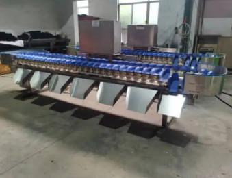Quality Pear Avocado Full Automatic Grading Machinefor sale