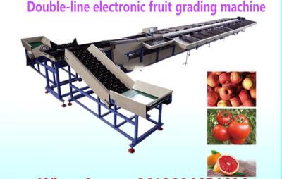 Quality Tomato/Avocado/Orange/Apple Weight Sorting Machine and Weight Grading Machinefor sale