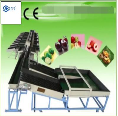 Quality Tomato/Avocado/Orange/Apple Weight Sorting Machine and Weight Grading Machinefor sale