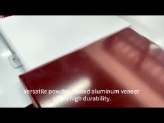 Versatile in polvere di alluminio