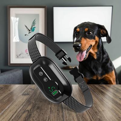 China E-Commerce Best Seller Waterproof Rechargeable Plastic Dog Bark Control Collar Large/Medium/Small Dogs Anti-Barking Training for sale