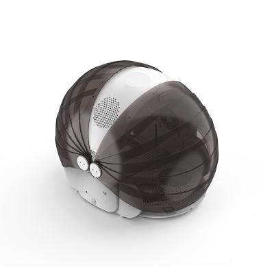 China Automatic Foldable Plastic ABS Pet Drying Box Large Capacity 65L Electric Quick Drying Low Noise Digital Display for sale