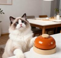 China Durable Plastic Pet Bell Interactive Training Toy Multiple Colors 2.5cm Diameter for sale