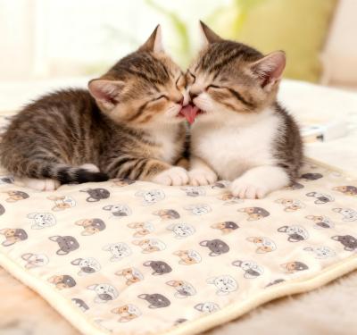 China Safe Smart Pet Heating Blanket with Temperature Control Removable Washable Soft Cotton Round 300g for Chickens for sale