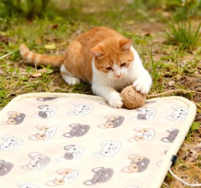 China Heating Smart Pet Blanket with Temperature Control Removable Washable Energy Efficient Cotton 300g for Chickens for sale
