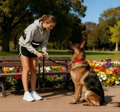 China Smart Dog Leash with Multi-Function Design Adjustable Length 100% Nylon Material Reflective Decoration Letter Pattern for sale