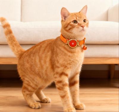 China Adjustable Rechargeable Waterproof Pet Collar for Dogs Orange Smart Round Power Button Bell Lightweight Webbing for sale