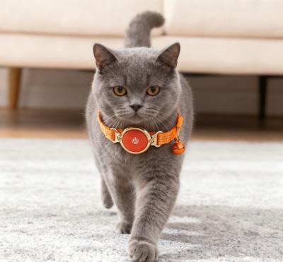 China Metal Buckle Pet Collar for Cats Orange Smart Round Power Button Bell Durable Webbing for sale