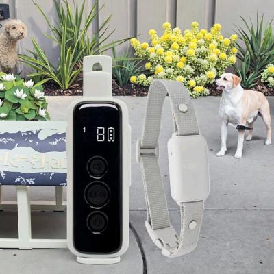 China Hot Sale Rechargeable Electric Dog Training Collar 300m Range Safe Beep Vibration Remote 3 Modes Waterproof Nylon Portable Smart for sale