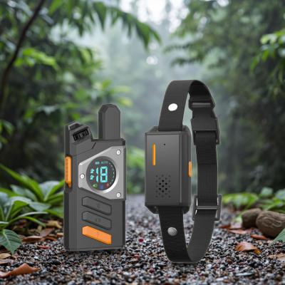 China Rechargeable 1640ft Smart Dog Training Collar Nylon Eco-Friendly Fashionable Plastic Anti Bark Remote Control Waterproof No for sale