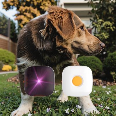 China 2025 Mini Interactive Remote Control Rechargeable E-Collar Dog Training IP67 Waterproof Plastic No Shock Vibration Reminders for for sale