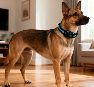 China Remote Control Smart Waterproof Dog Bark Collar Nylon Plastic Rechargeable for Anti-Bark Training Humane Safe Fashion Design for sale