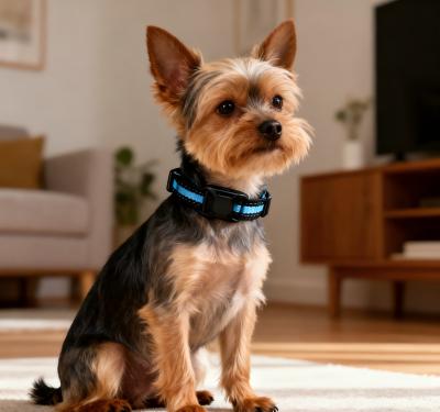 China Safe Smart Dog Bark Collar with Anti-Bark Training Remote Control Rechargeable for sale