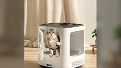 Smart Pet Feeder Auto Dispenser Dog Cat Food
