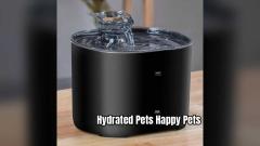 2.2L Pet Water Fountain Auto Circulating