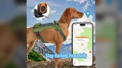 Stop Dog Barking Effectively Rechargeable Bark Collar