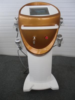 China 40KHz Cavitation Frequency Cellulite Cavitation For Weight Losing Burning Fat Cell for sale